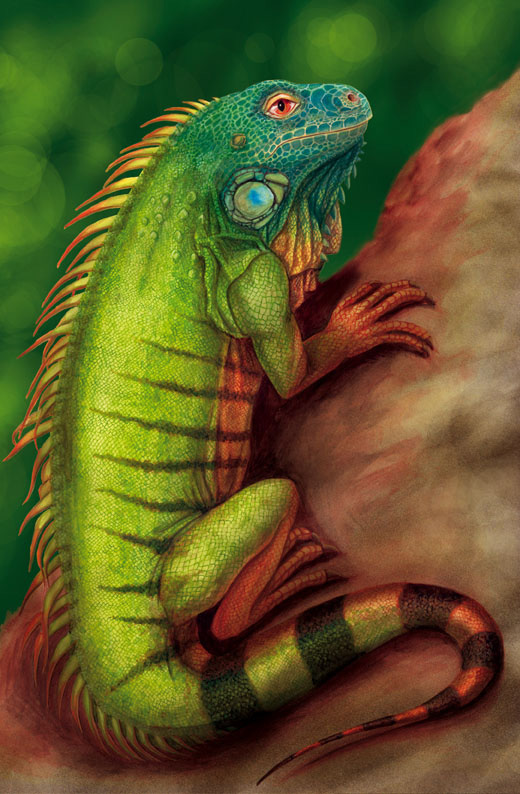 Collection: Leapin' Lizards by techgnotic on DeviantArt