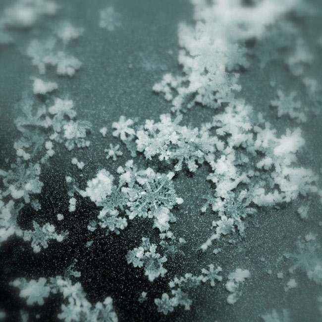 Collection: The Magic of Snowflakes by techgnotic on DeviantArt