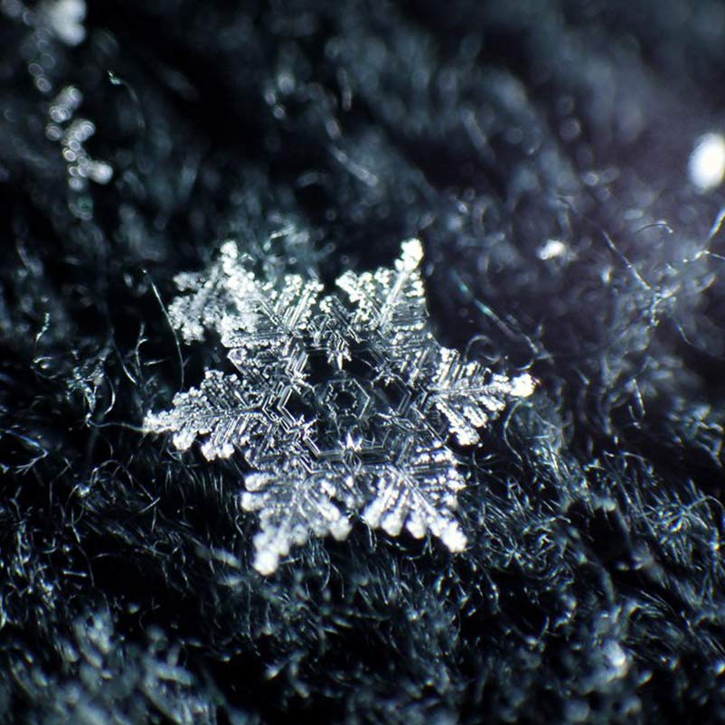 Collection: The Magic of Snowflakes by techgnotic on DeviantArt