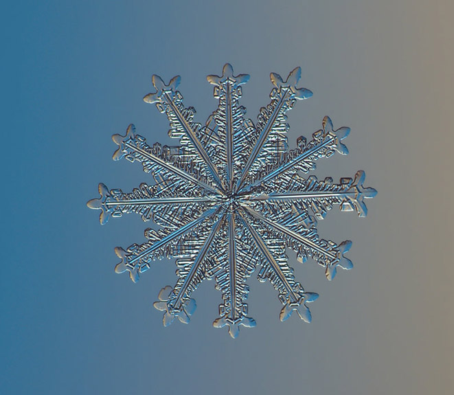 Collection: The Magic of Snowflakes by techgnotic on DeviantArt